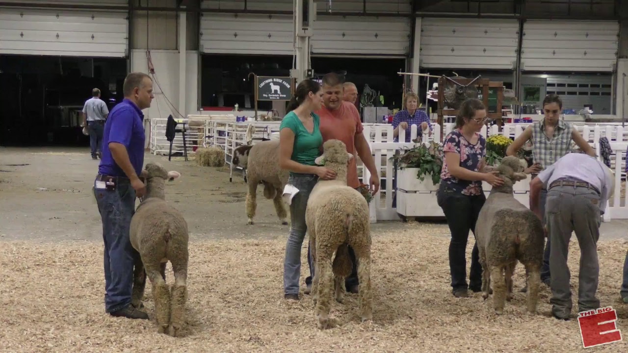 2017 - Sept 25th - AOB Wool Show - YouTube