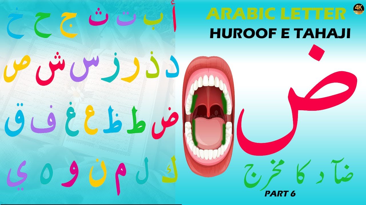 Harf e Hafiyah | Makhraj Series | | ض کا مخرج | | Makhraj of ض ...