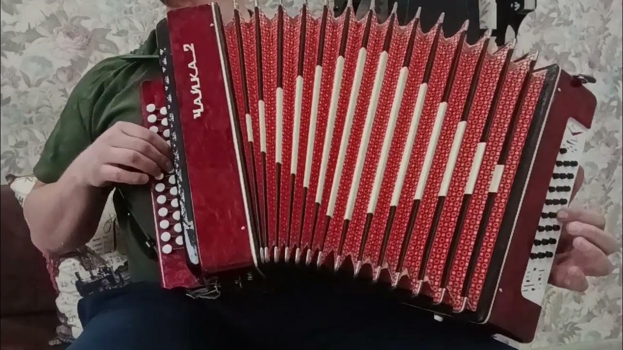 Гармонь чайка 2 продажа - YouTube