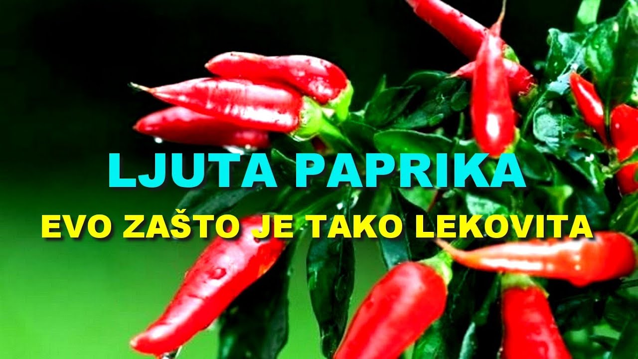 LJUTA PAPRIKA - EVO ZAŠTO Je TAKO LEKOVITA I ZDRAVA... - YouTube