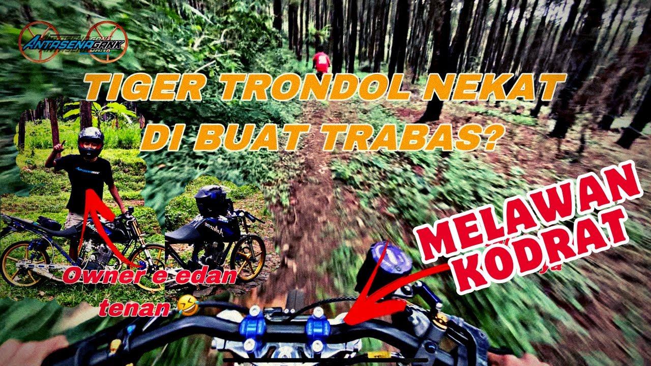 🔴This Is Hetril (Herex Ngetril)☝️ Tiger Antasena Melawan Kodrat‼️ - YouTube