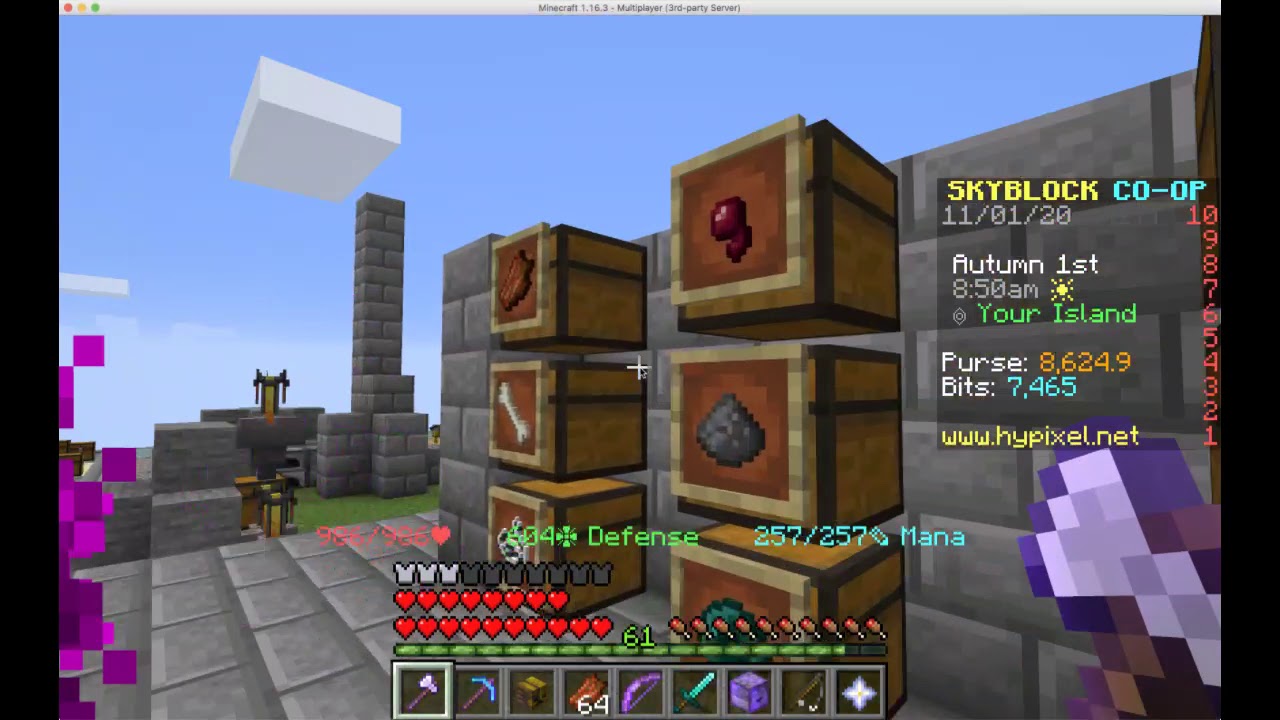 Hypixel Skyblock Coop - Day 10 Part 3 - YouTube