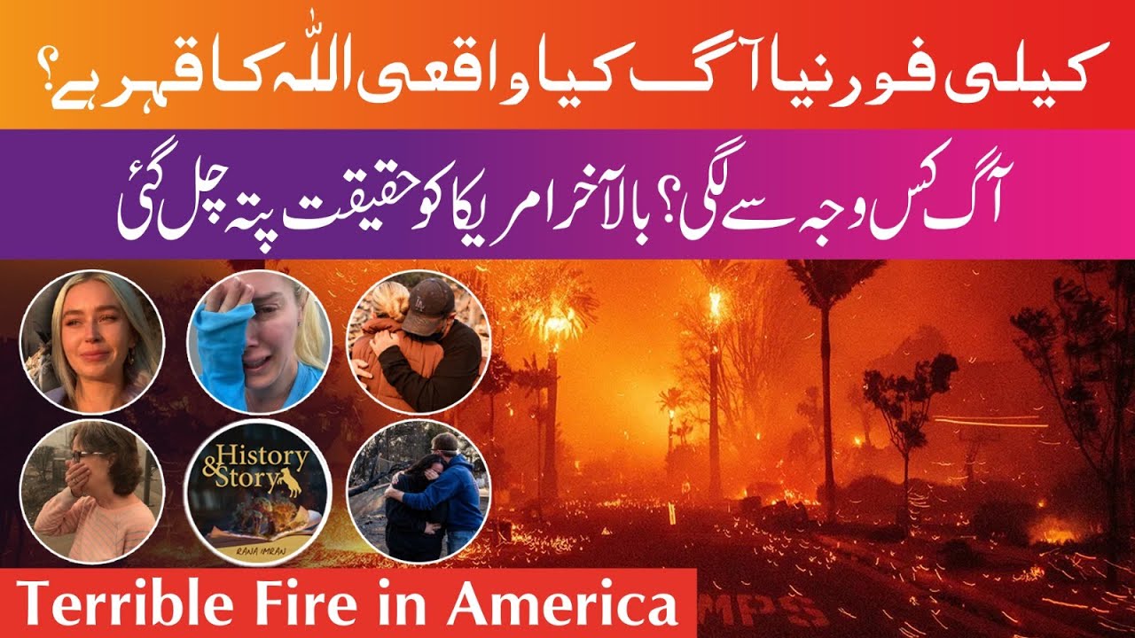 Los Angeles Wildfire | Los Angeles Wildfire 2025 | Terrible Fire in ...