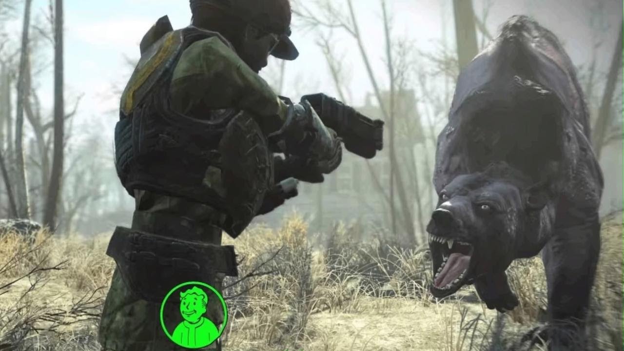 Woman Vs. Bear - Fallout 4 - YouTube