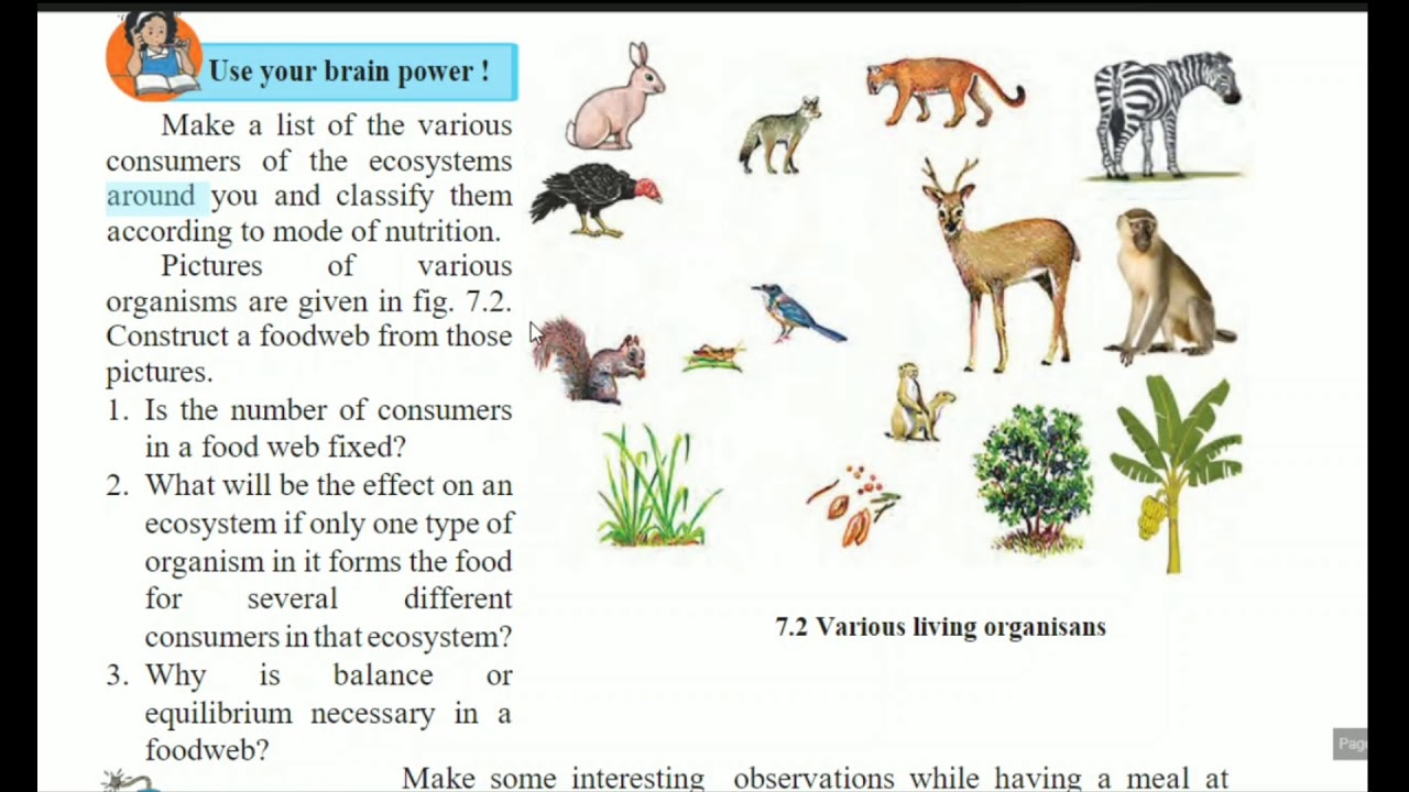 Std 9th, Lesson 07, (Part 1/4), Maharashtra State Board, Science - YouTube