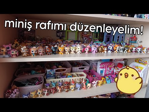 MİNİŞ RAFIMI DÜZENLİYORUZ!🐥