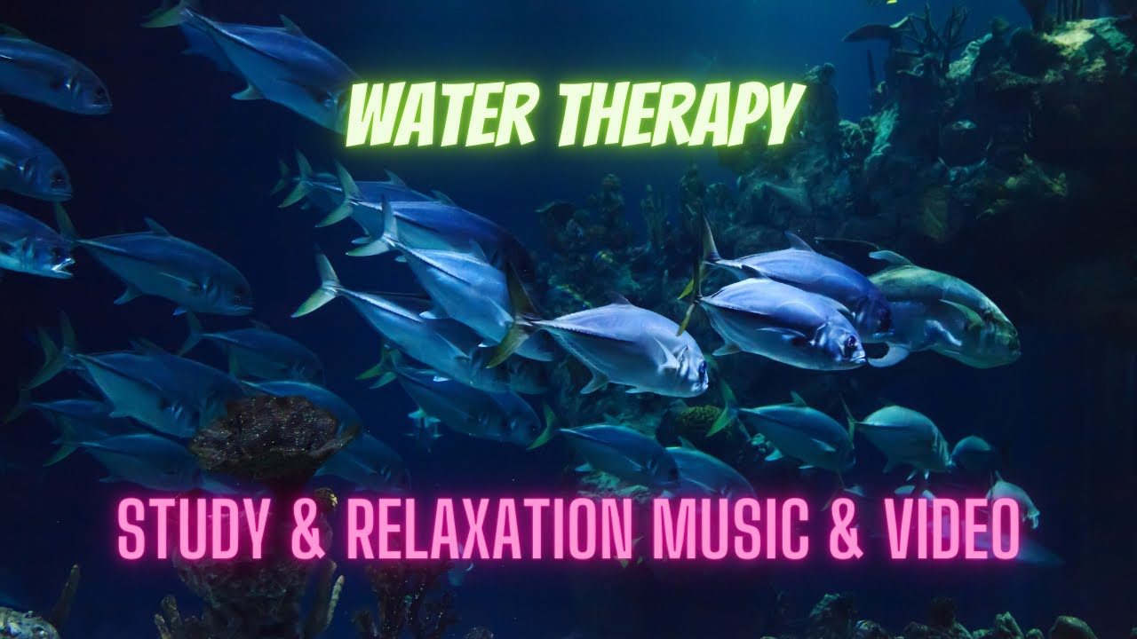 Study Music - Water therapy - Relaxation set [1 hour beautiful view ...