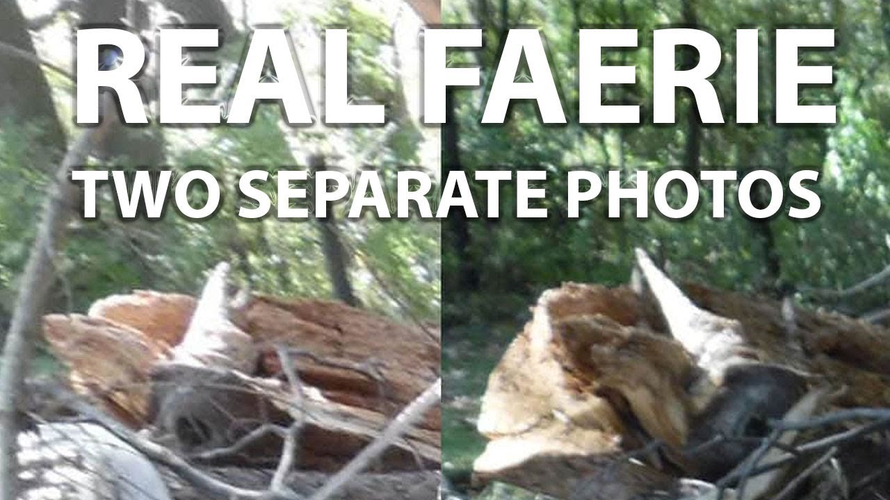 REAL FAERIE - SAME FAERIE IN TWO SEPARATE PHOTOS - YouTube