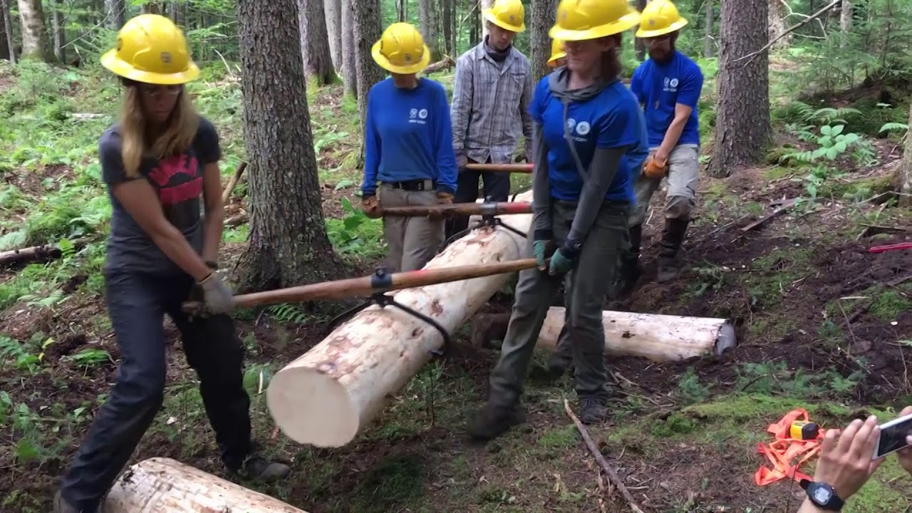 SCA Builds a Bog Bridge - YouTube