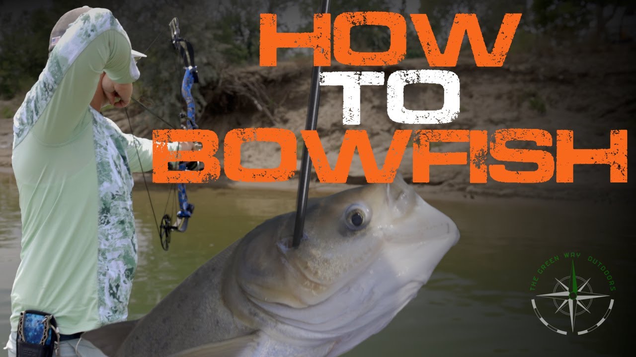 How to Bowfish for Carp from a Boat | Ultimate Bow fishing Guide | The ...