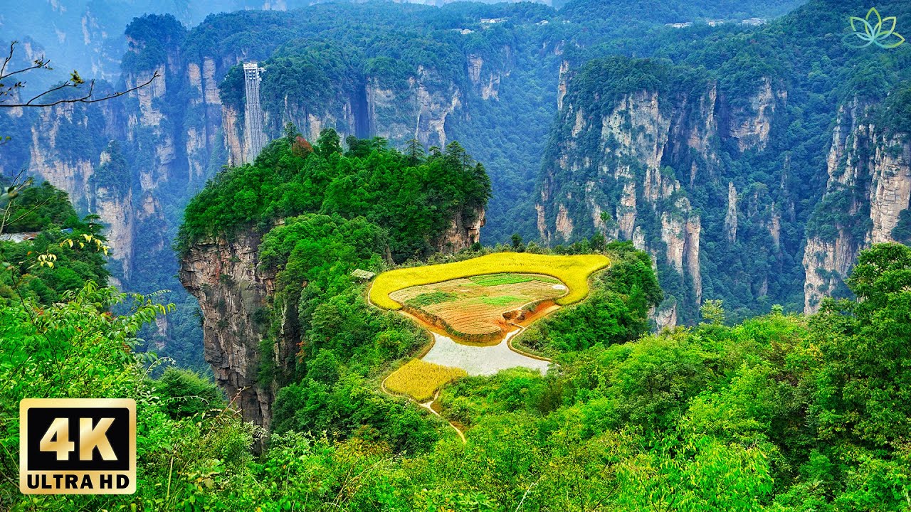 4K Amazing Nature Scenery - Peaceful Relaxing Piano Music For Stress ...