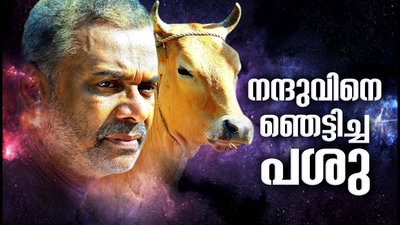 Malayalam Movie | Pasu | The Making Video | MD Sukumaran | Nandhu ...