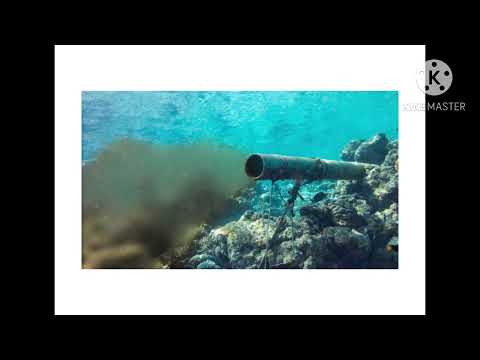 psa bio ocean pollution - YouTube