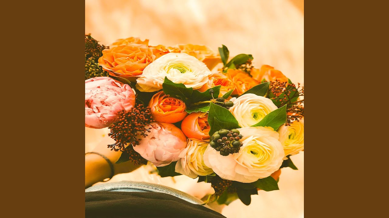 Namek Out Foather Annother Look Boack Fonreaver - YouTube