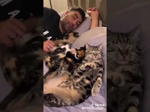 KOMİK HAYVAN VİDEOLARI[ LÜTFEN KANALA ABONE OLURMUSUNUZ]