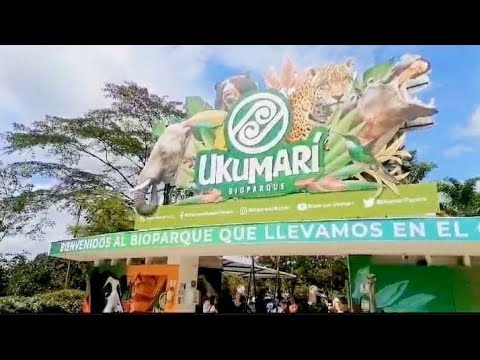 Nuevo Bioparque UKUMARI - YouTube