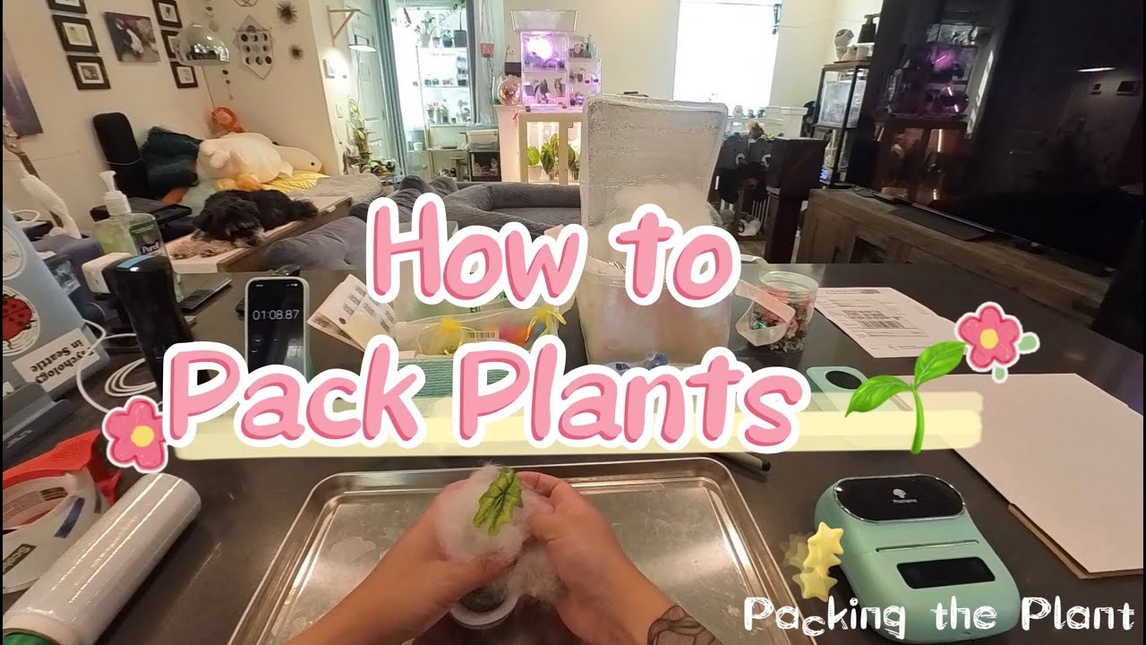 How to Pack Plants for Shipping | Beginner’s Guide to Selling & Trading ...