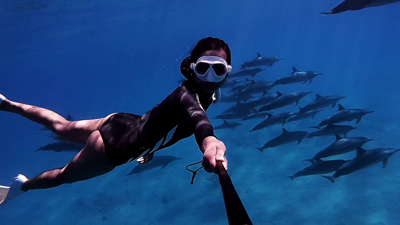 Hawaii has such an amazing underwater world | GoPro #270Pro 夏威夷 海豚 自由潛水 ...