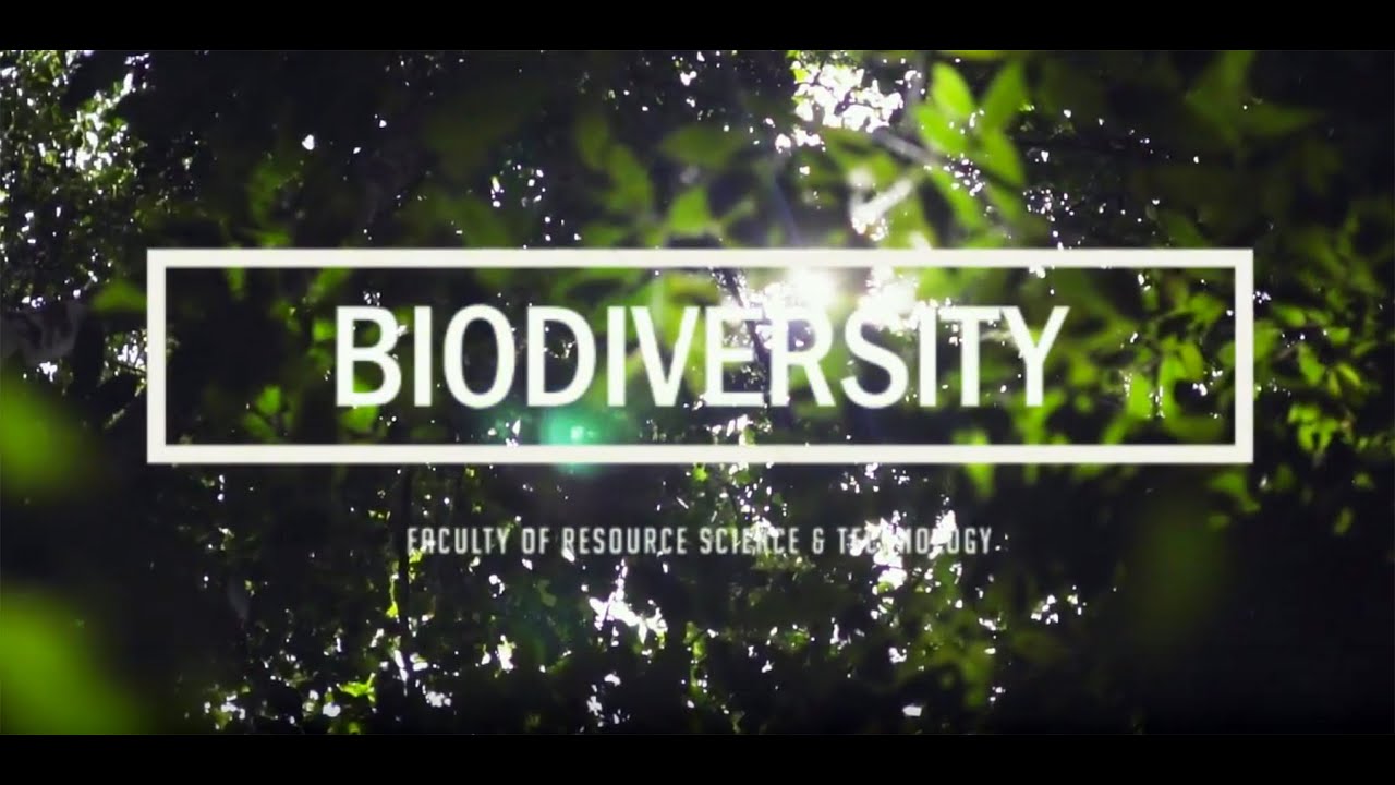 UNIMAS MOOC - Biodiversity Promo Video - YouTube