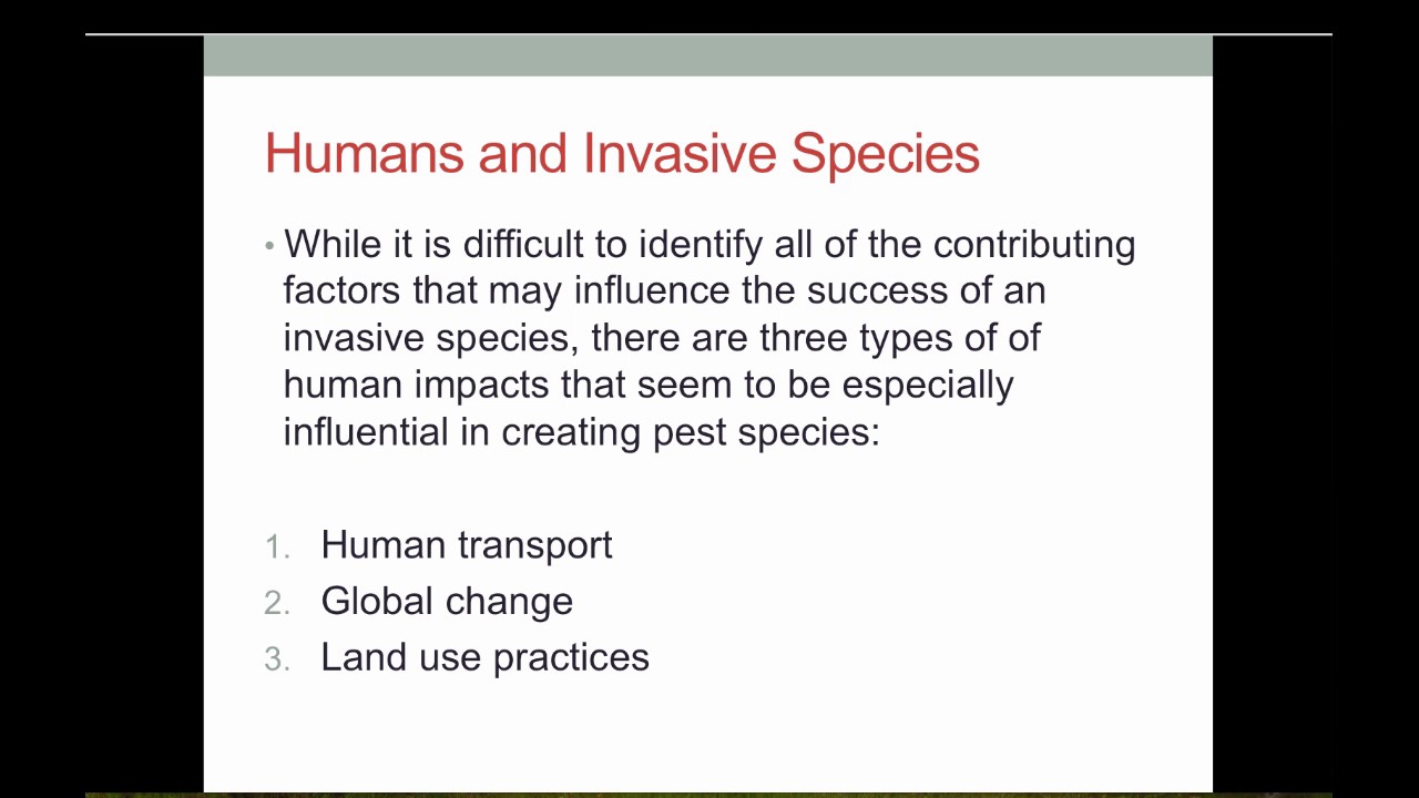 Lecture 14.1 Introduction to invasive species - YouTube
