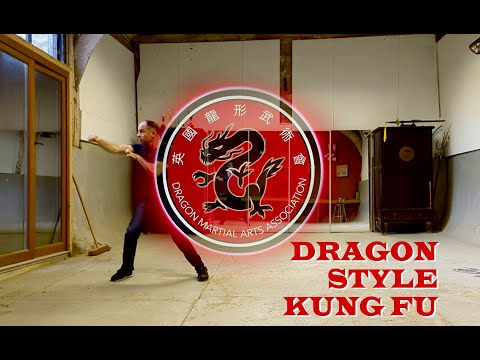 龍形 Dragon Style Kung Fu (Lung Ying) - Advanced form 五馬歸槽 5 horses return to the trough