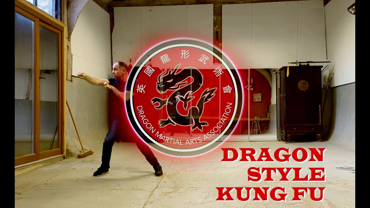 龍形 Dragon Style Kung Fu (Lung Ying) - Advanced form 五馬歸槽 5 horses ...