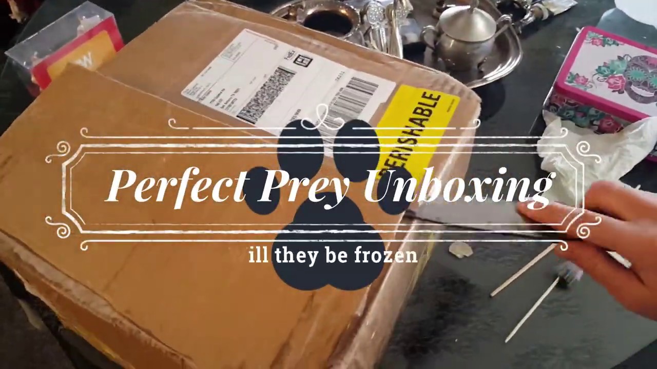 Perfect Prey Unboxing - YouTube