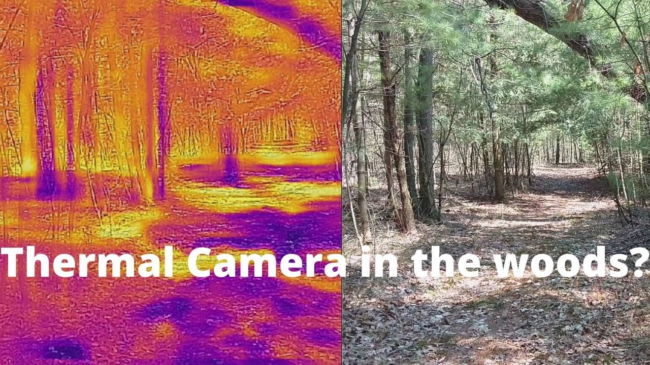 What will a thermal camera pickup in the woods? (Flir) - YouTube