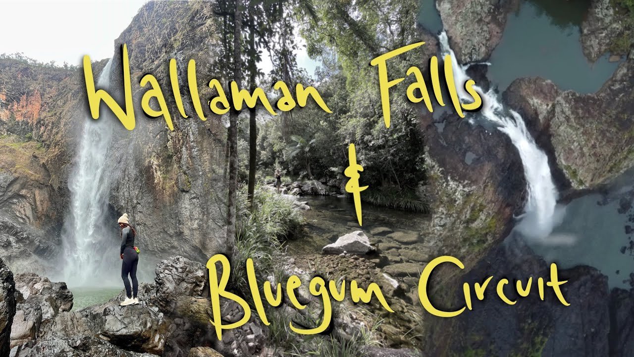MOST IMPRESSIVE waterfall and our FAVOURITE hike in the Paluma National ...