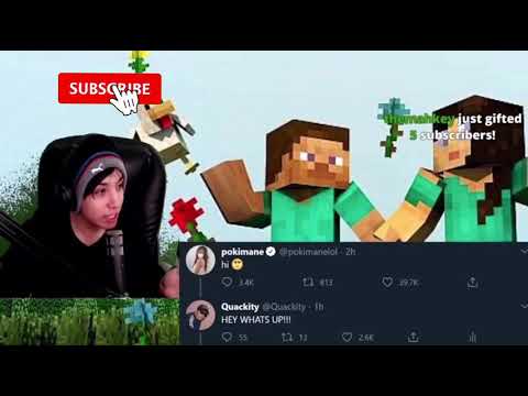 Pokimane turns down playing Minecraft with Quackity *EMOTIONAL* - YouTube