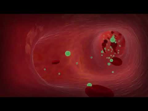 HIV AIDS Animation Video - YouTube