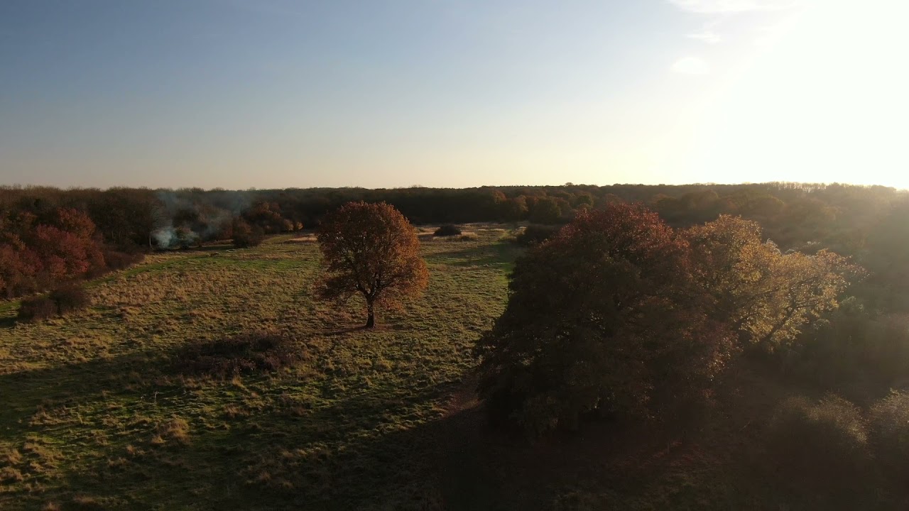 Castor Hanglands HD 1080p - YouTube