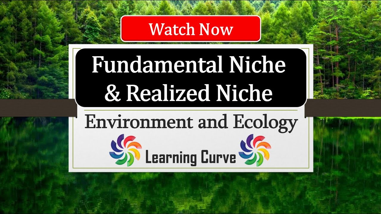 Fundamental Niche and Realized Niche | Ecological Niche | Ecology ...