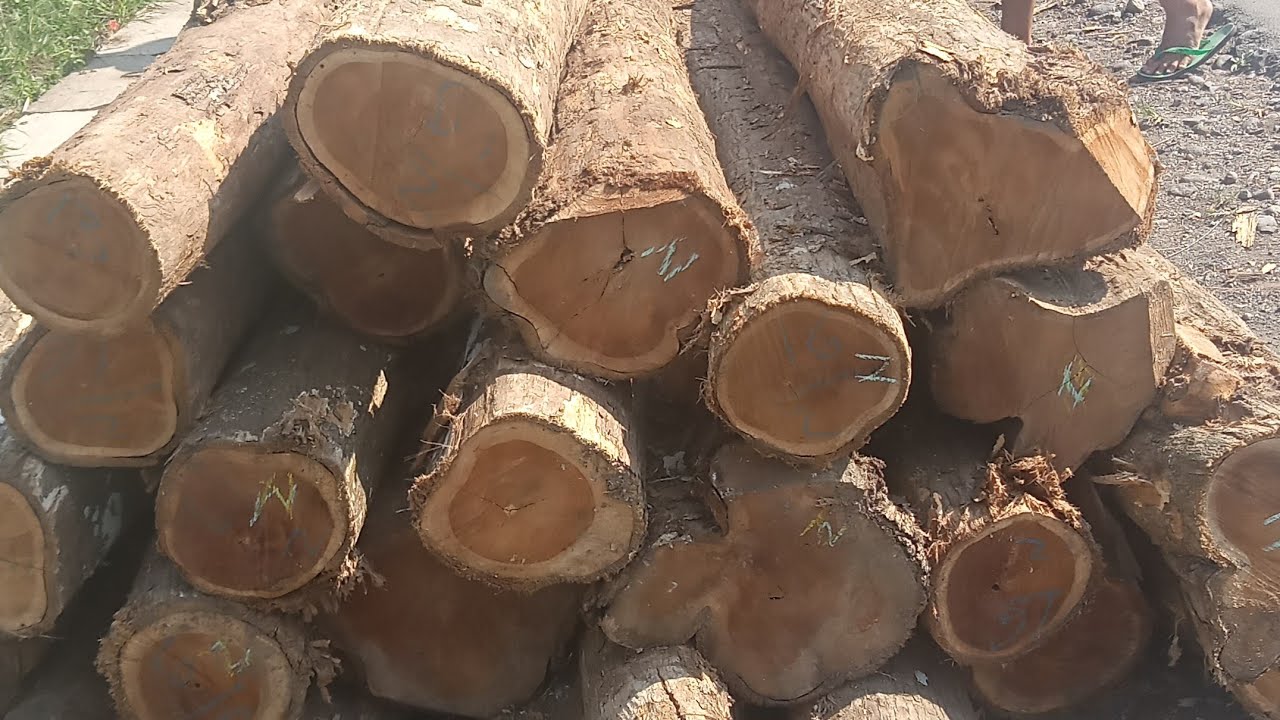 TIPS !!! Memilih bahan kayu jati untuk pembuatan kusen dan daun pintu ...