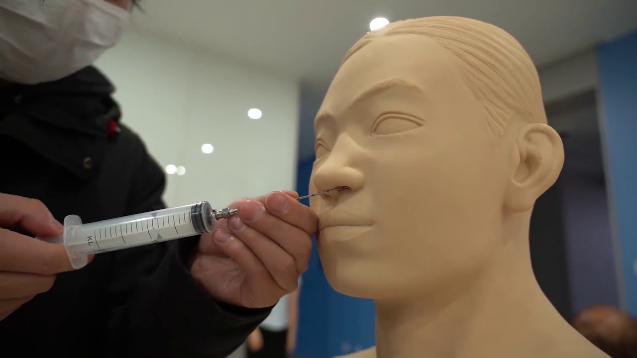 Anatomy Lab Maxillary Sinus Puncture Trainer - YouTube