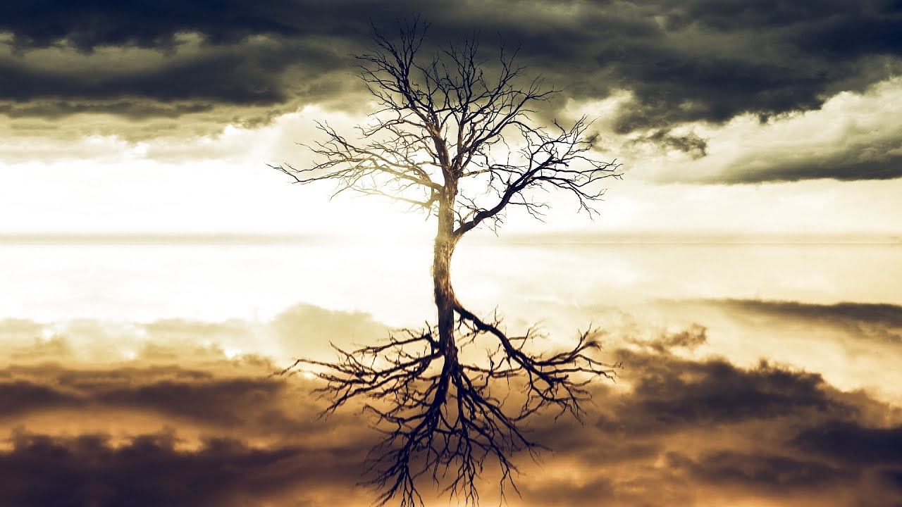 Tree of Qliphoth Anthology Overview - YouTube