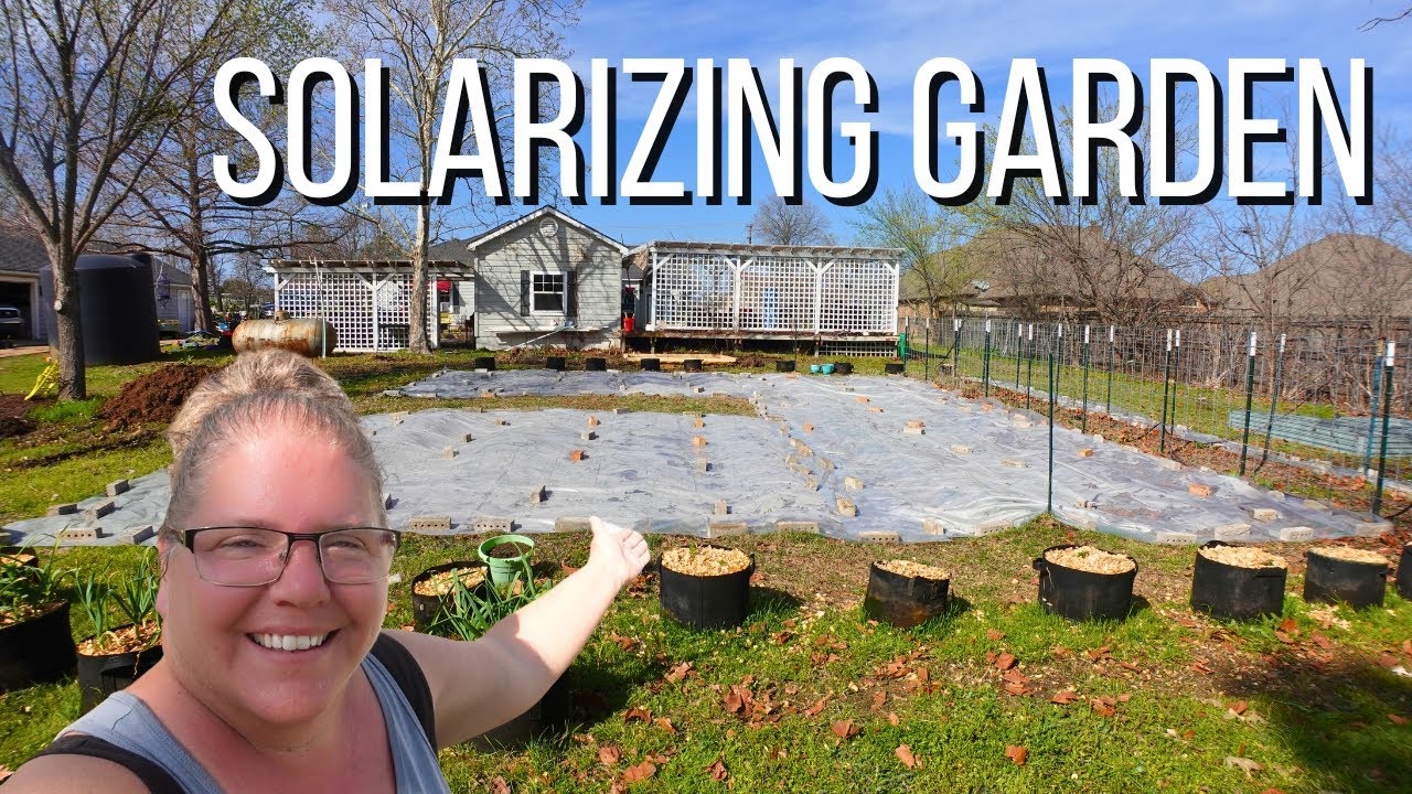 Transform Your Garden with Solarization Technique - YouTube