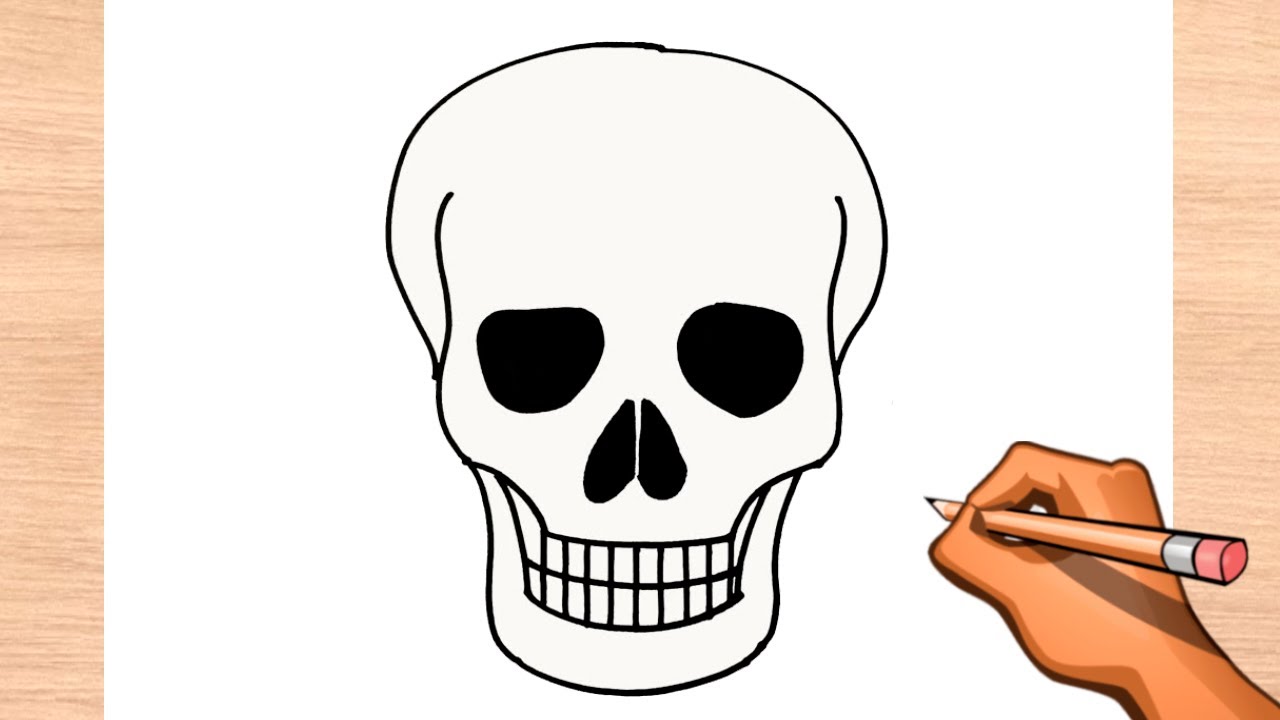How to Draw a Skull easy - Drawing Step by Step - YouTube