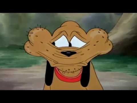 Donald Duck - Donald's Dog Laundry - 1940 (HD)