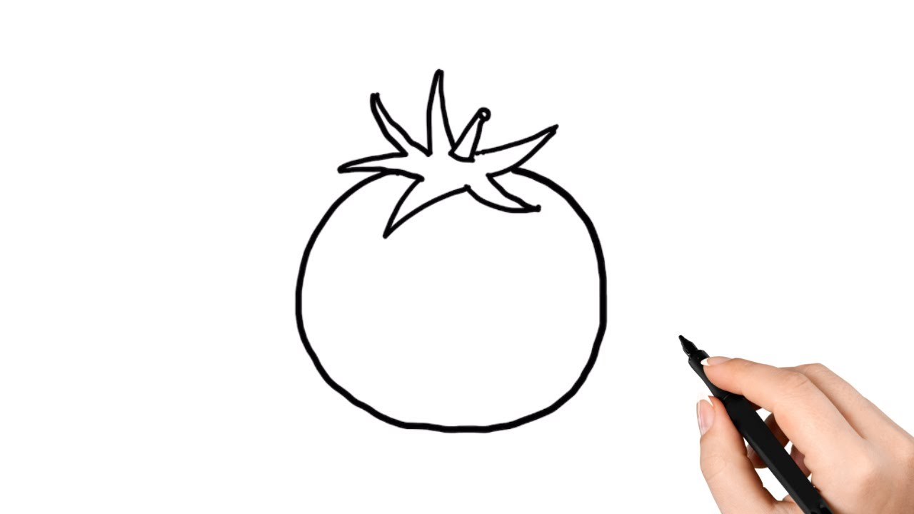 How to draw a Tomato | Easy drawing for kids - YouTube