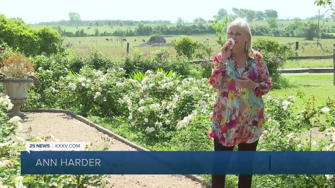Traveling Texas with Ann Harder: Antique Rose Emporium - YouTube