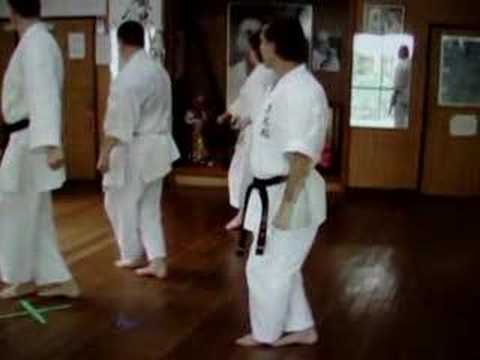 Karate Okinawa Shorin ryu , Kata Unsu in slow motion - YouTube