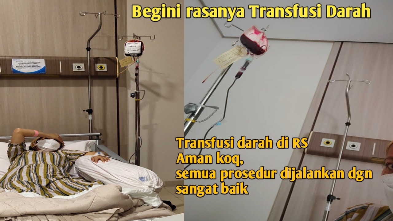 Proses transfusi darah - Pengalaman transfusi darah - Sakit ngga ...