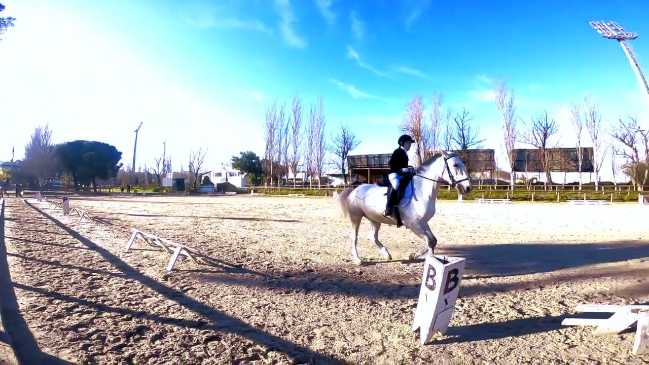 Prova P3 Inês 720 - YouTube