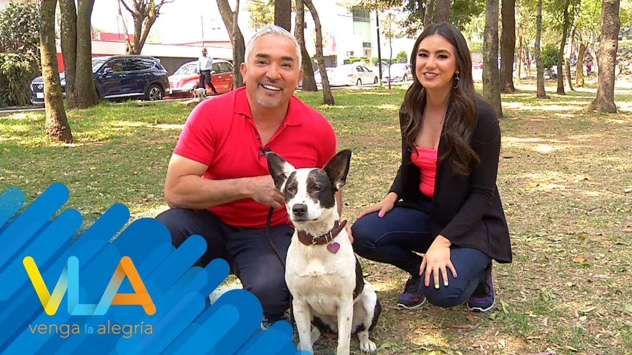 ¡Olga Mariana estuvo con César Millán! | Venga La Alegría - YouTube