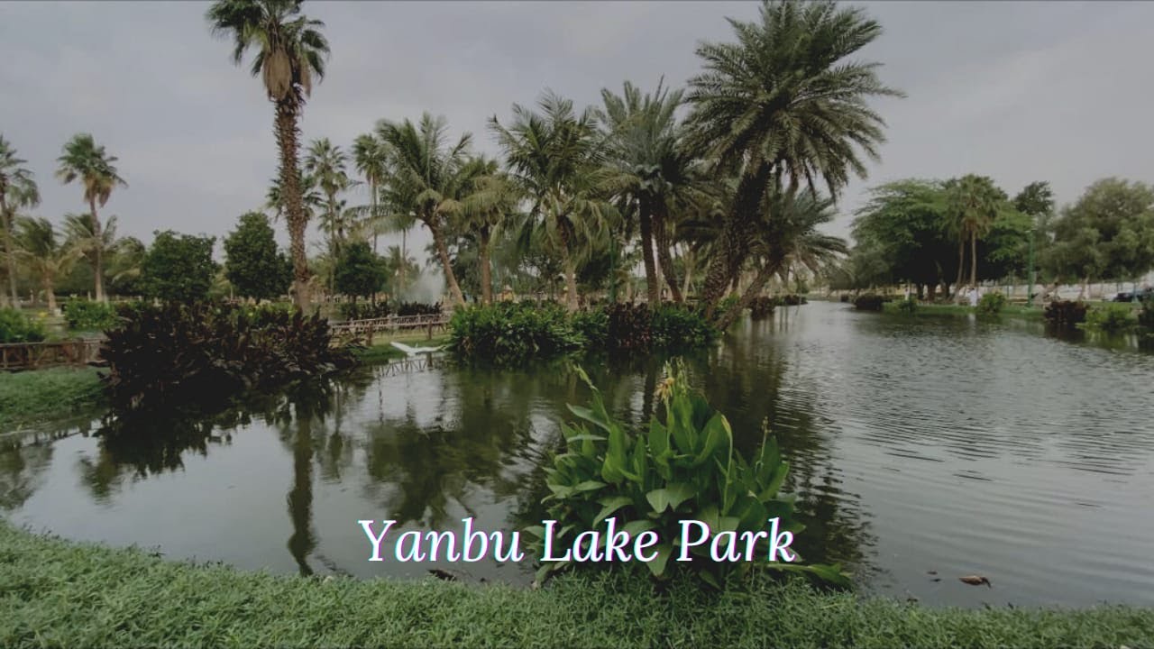 Yanbu Lake Park, Saudi arabia: An icon of Beauty|| My happy times by ...