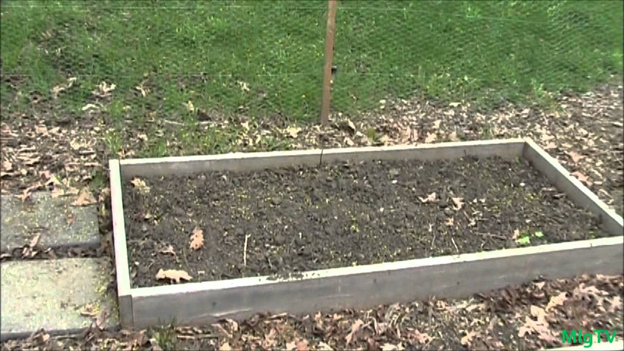 Spring Tour of the Garden - YouTube