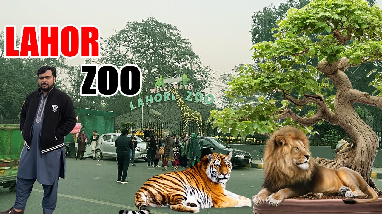 Lahore Zoo in 4K | European Style Zoo New | Lahore Zoo Full Tour ...