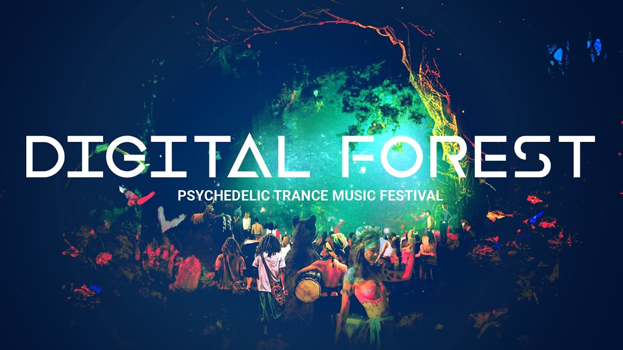 Paranoid Society @ Digital Forest Festival 2023 - YouTube