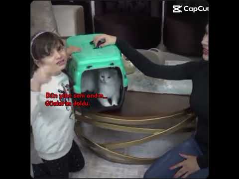yazılar çıksın diye uzun video yaptıö